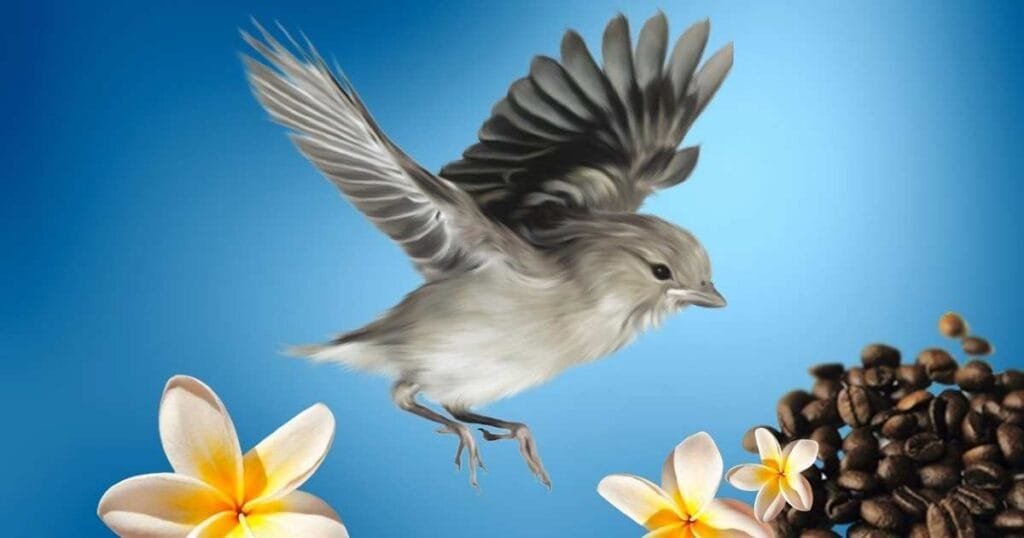 This new study finds that shade-grown coffee could help save birds ...