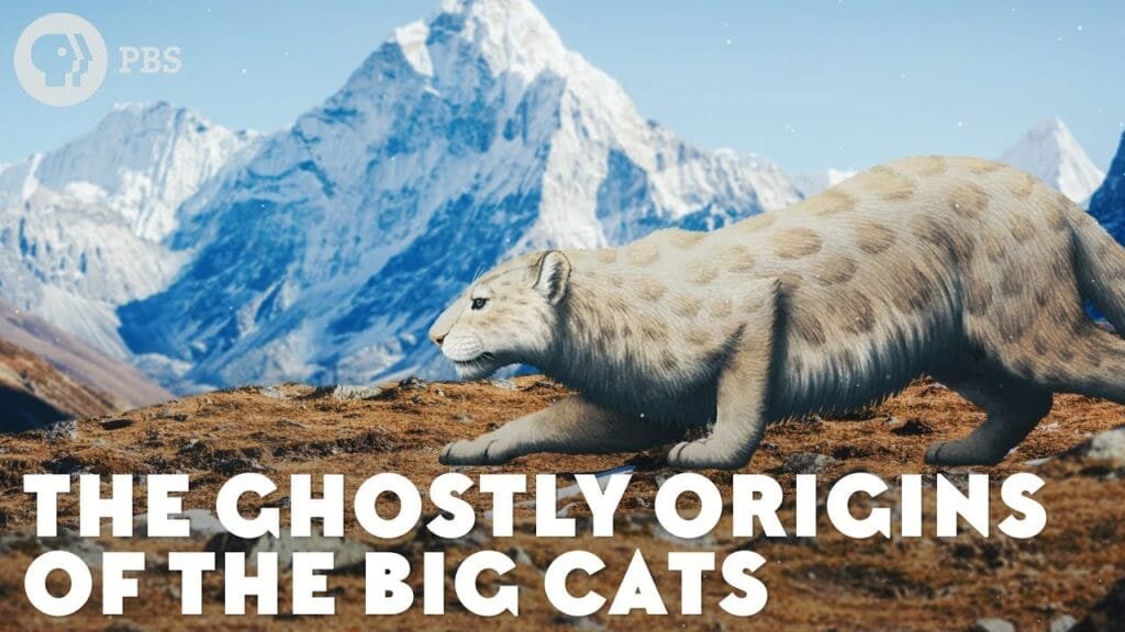 Tracing the Evolution and Domestication of Cats