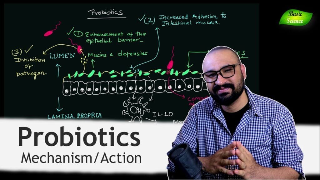 Strongest Antibiotic: Myths vs. Facts in Bacterial Warfare – SuchScience