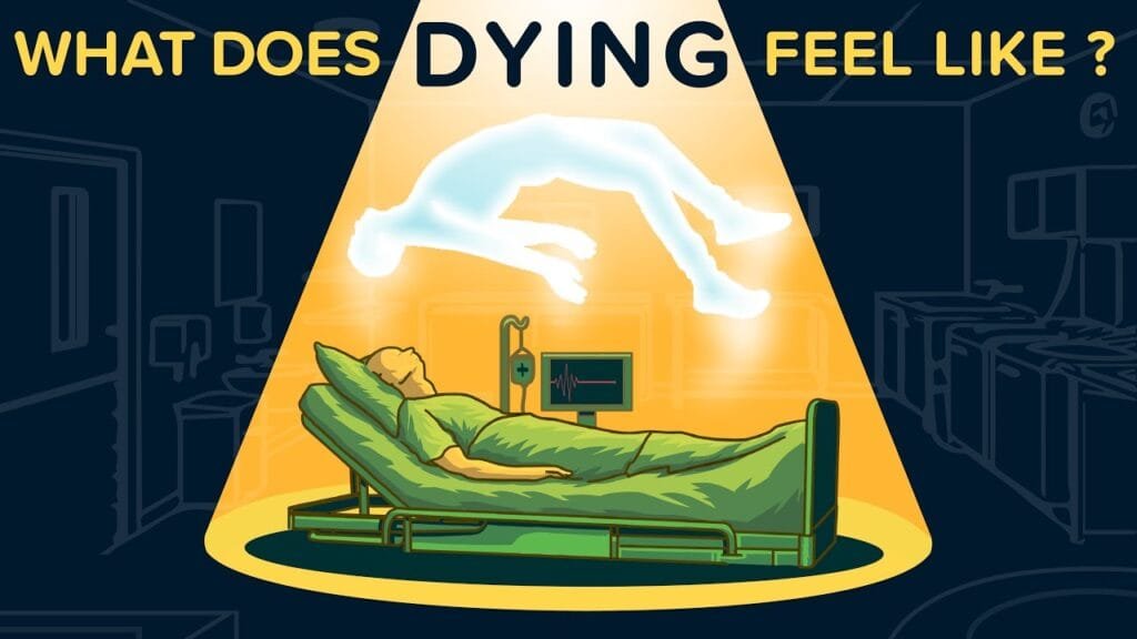 What is it like to be dead? – SuchScience