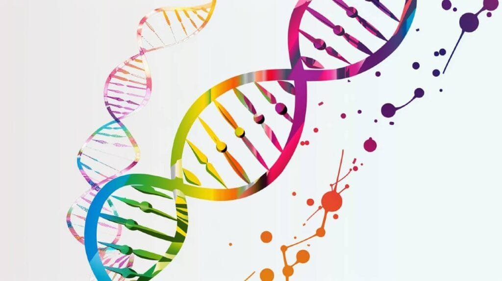 The SuchScience Genetic Traits Calculator – SuchScience